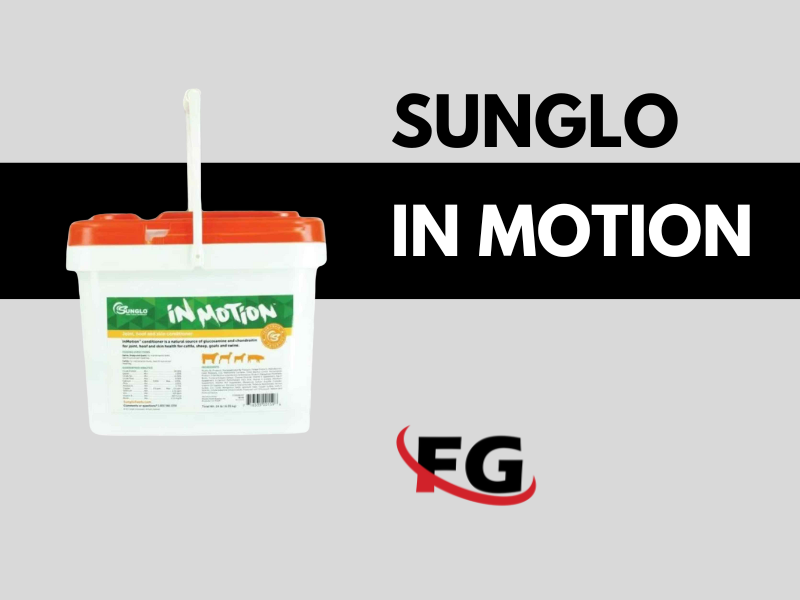 Sunglo In Motion – Feeders Grain